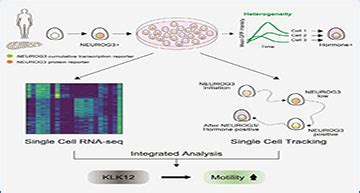 Integrating Single Cell Imaging And RNA Sequencing Datasets Links