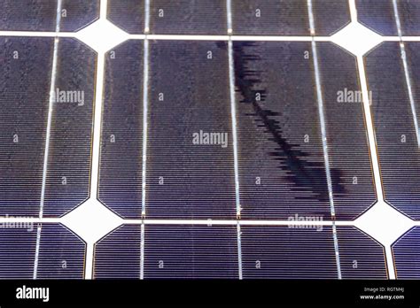 Silicon Cells Poly Modules With Snail Trails Defects In Its Surface