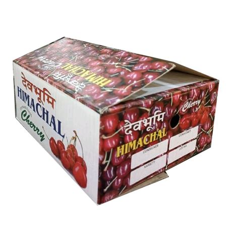 Single Phase 2 Ply 140 GSM Printed Fruit Packaging Box At Rs 22 Piece