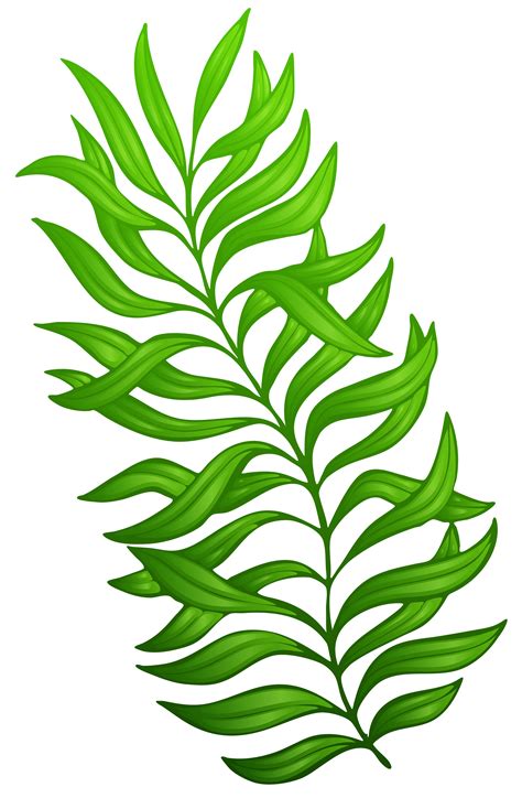 Green Plant Clipart Clipground