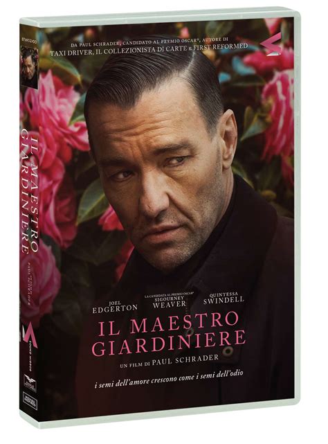 Dvd Store It Vendita DVD Blu Ray 4K E UHD Il Maestro Giardiniere