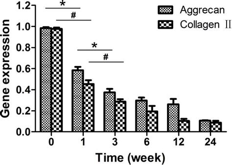Relative Gene Expressions Of Aggrecan And Type II Collagen In L4 5 NP