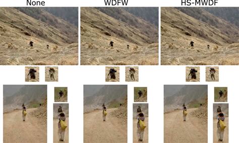 compression results of two natural images in our data set jpeg2000 is download scientific