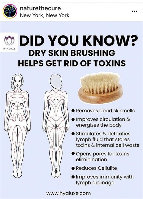Dry Brushing For Skin Circulatory And Lymphatic Health Artofit