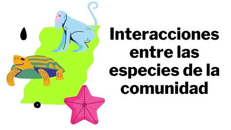 TOMi Digital Interacciones Entre Poblaciones Comunidades