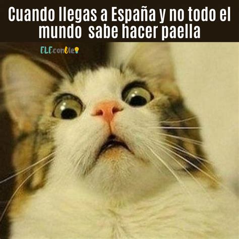 Memes Para Clase De Espa Ol