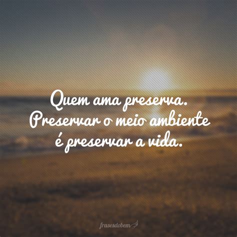45 Frases Sobre Meio Ambiente Para Conscientizar E Mudar De Ideia
