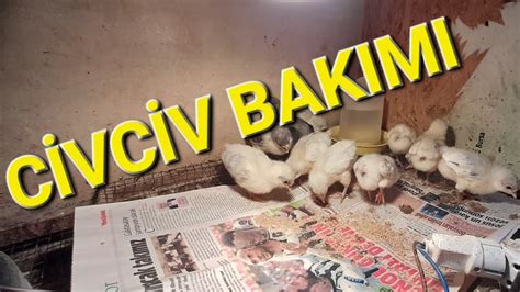 C Vc V Bakimi P F Noktalari Ld Rmeden C Vc V B Y Tmek Youtube