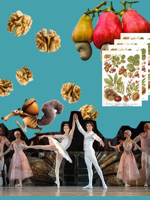 Un article à la noix Article LundiCarotte les fruits à coque