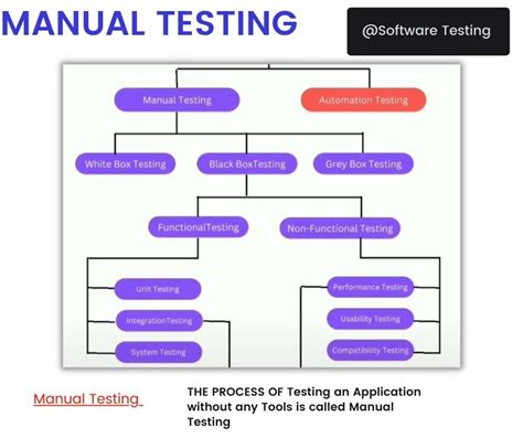 manual testing guide what is manual testing it s types