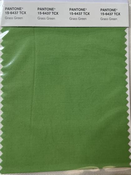 Pantone TCX Cotton Swatch Card 15 6313 TCX Laurel Green