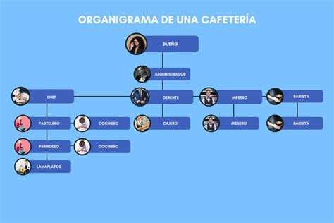 Descobrir Imagem Organigrama De Una Cafeteria Y Sus Funciones