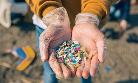 Tipos de plásticos biodegradables en el mundo del embalaje RAJA