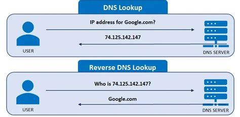 Dns Informacionpublica Svet Gob Gt