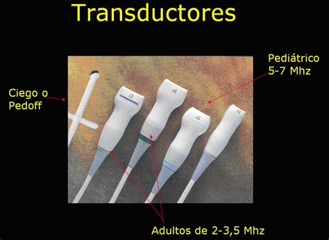 ICC 1 Principios Básicos de la Ecocardiografía