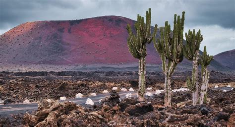 De 8 Mooiste Plekken Op Lanzarote Corendon