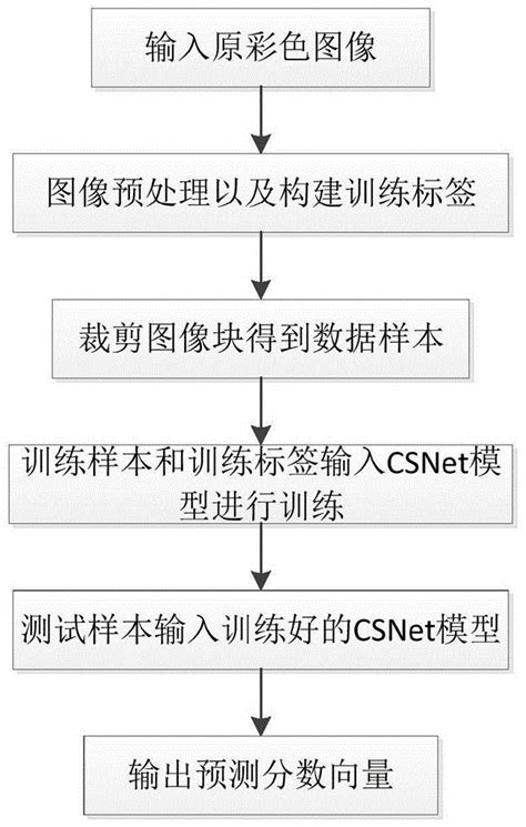 基于置信分数的无参考图像质量评价方法与流程