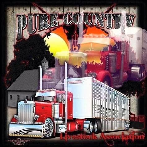 P C L A Livestock Haulers Bull Haulers Cow Haulers Cattle Haulers