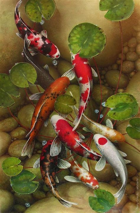 Two Koi Fish Swimming In A Pond With Lily Pads