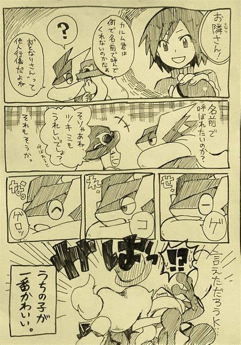 Serena Calem And Greninja Pokemon And 1 More Drawn By Hino A Danbooru