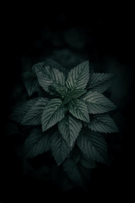 Dark OLED 4K Wallpapers Top Free Dark OLED 4K Backgrounds