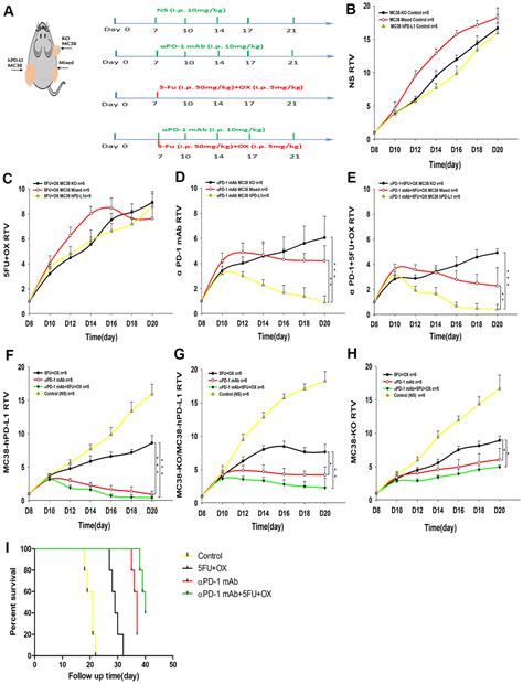 A Preclinical Study Correlation Between Pd L Pet Imaging And The