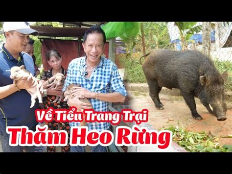 Bất ngờ không thể tin nổi về Trang trại nuôi heo rừng của Danh hài Bảo