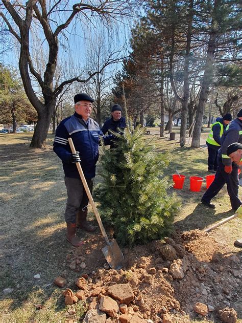 Primarul Ion Lungu a anunțat demararea campaniei de plantare de arbori