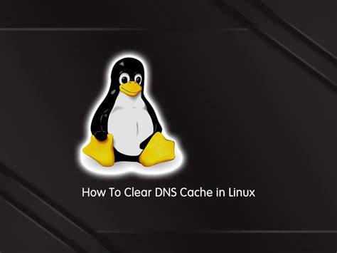How To Clear DNS Cache In Linux Quick Guide OrcaCore