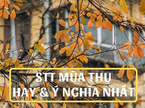 Top 4 câu nói hay về mùa thu và tình yêu mới nhất năm 2022