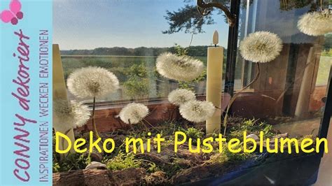 Pusteblumen konservieren haltbar machen natürliche Deko mit