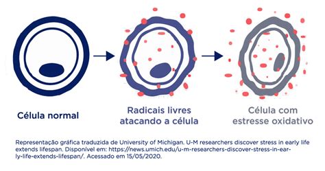 Estresse Oxidativo No Autismo ANDREIA TORRES
