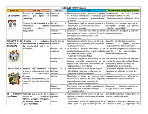 Enfoques Transversales Valores Actitudes Docentevirtual ENFOQUES