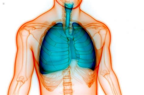 Trastornos Respiratorios qué es síntomas y tratamiento Top Doctors