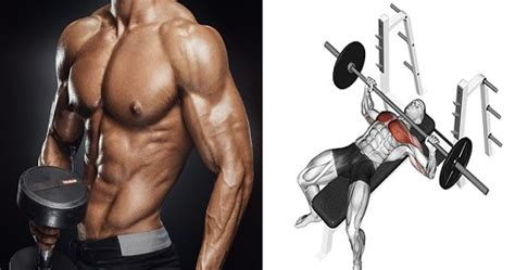 Best Chest Exercises To Pump Up Your Pecs ~