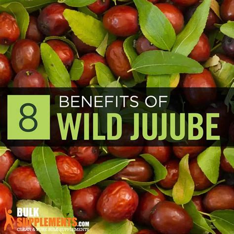 Wild Jujube Extract Benefits Side Effects Dosage