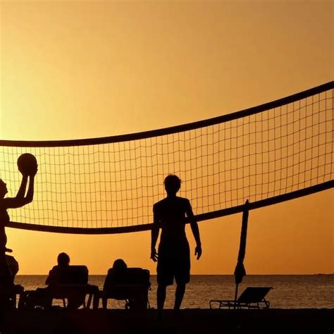 O Que Significa Voleibol