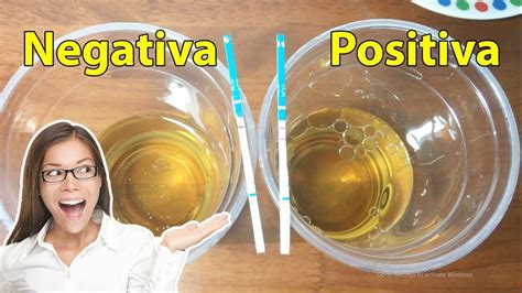 Crucero Ciencias Insalubre Prueba De Embarazo Orina Y Aceite No Pagado
