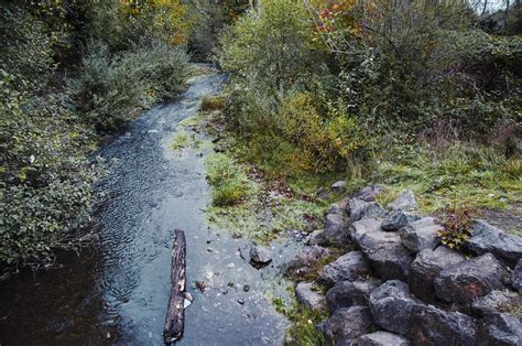Bach Bachlauf Fließendes Wasser Kostenloses Foto auf Pixabay Pixabay