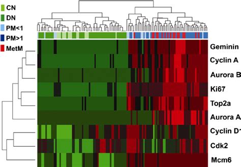 Heat Map Of Unsupervised Hierarchical Cluster Analysis Based On Complex