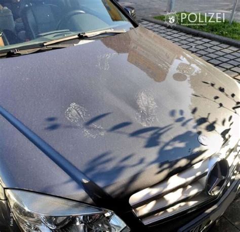 Fußabdrücke auf der Motorhaube Zeugen gesucht
