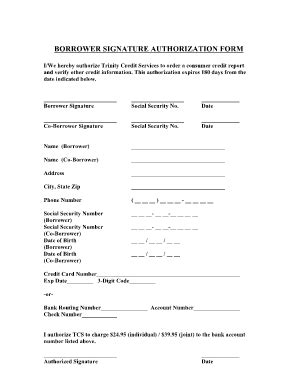 Fillable Borrower Authorization Form Fill Online Printable Fillable
