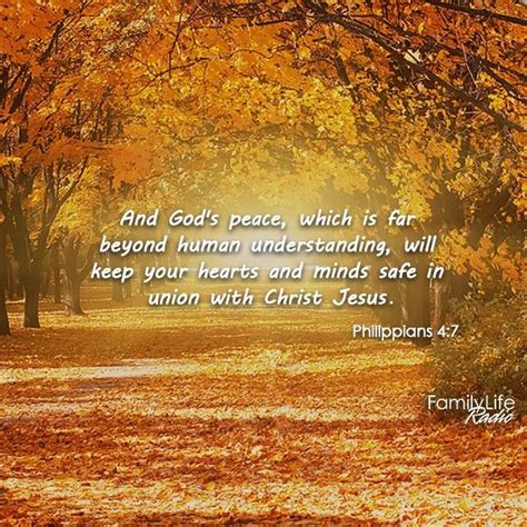 Philippians Colossians Jesus Christ Images Daily Verses Heart