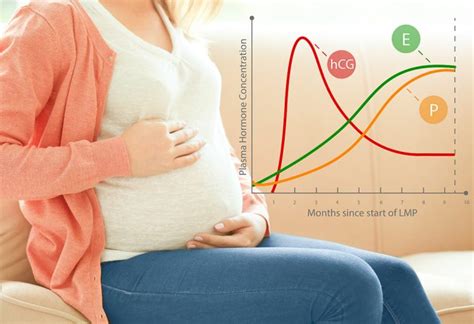 Hcg Levels