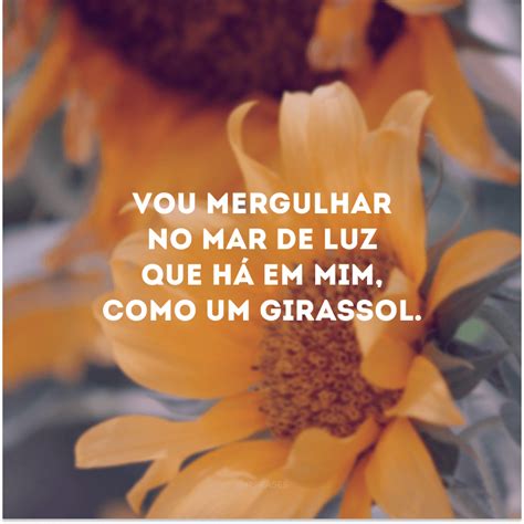 Frases De Girassol Para Te Inspirar A Sempre Seguir A Luz