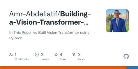 Github Amr Abdellatif Building A Vision Transformer From Scratch