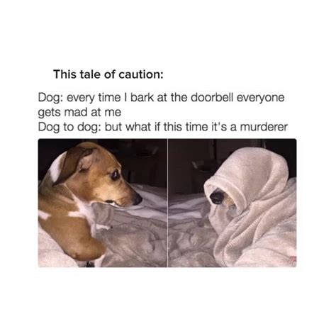 Cum Guzzler