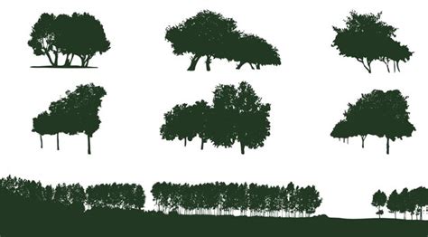 Ensemble De Silhouettes D arbres à Feuilles Caduques Vecteur Premium