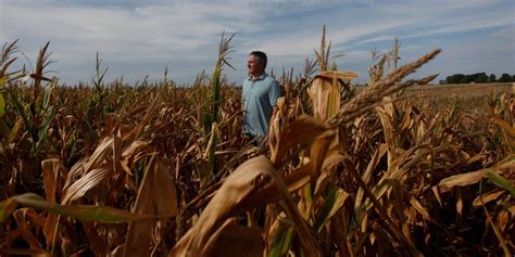 La producción agrícola de Argentina sufre los efectos de una sequía