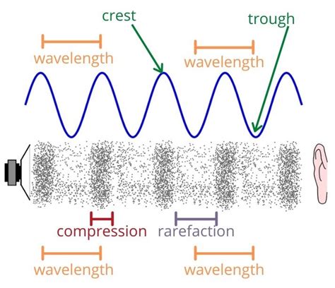 Label The Parts Of The Wave In The Diagram